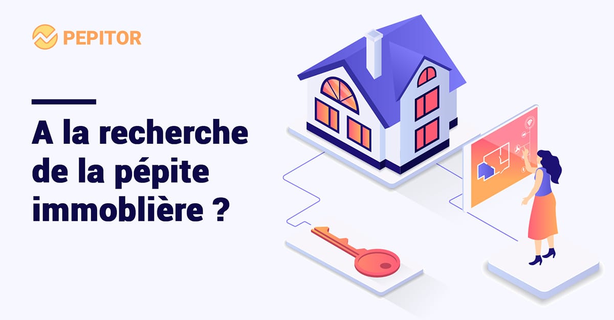 Pepitor : Vidéo Motion Design pour Facebook Ads | StoryStellar