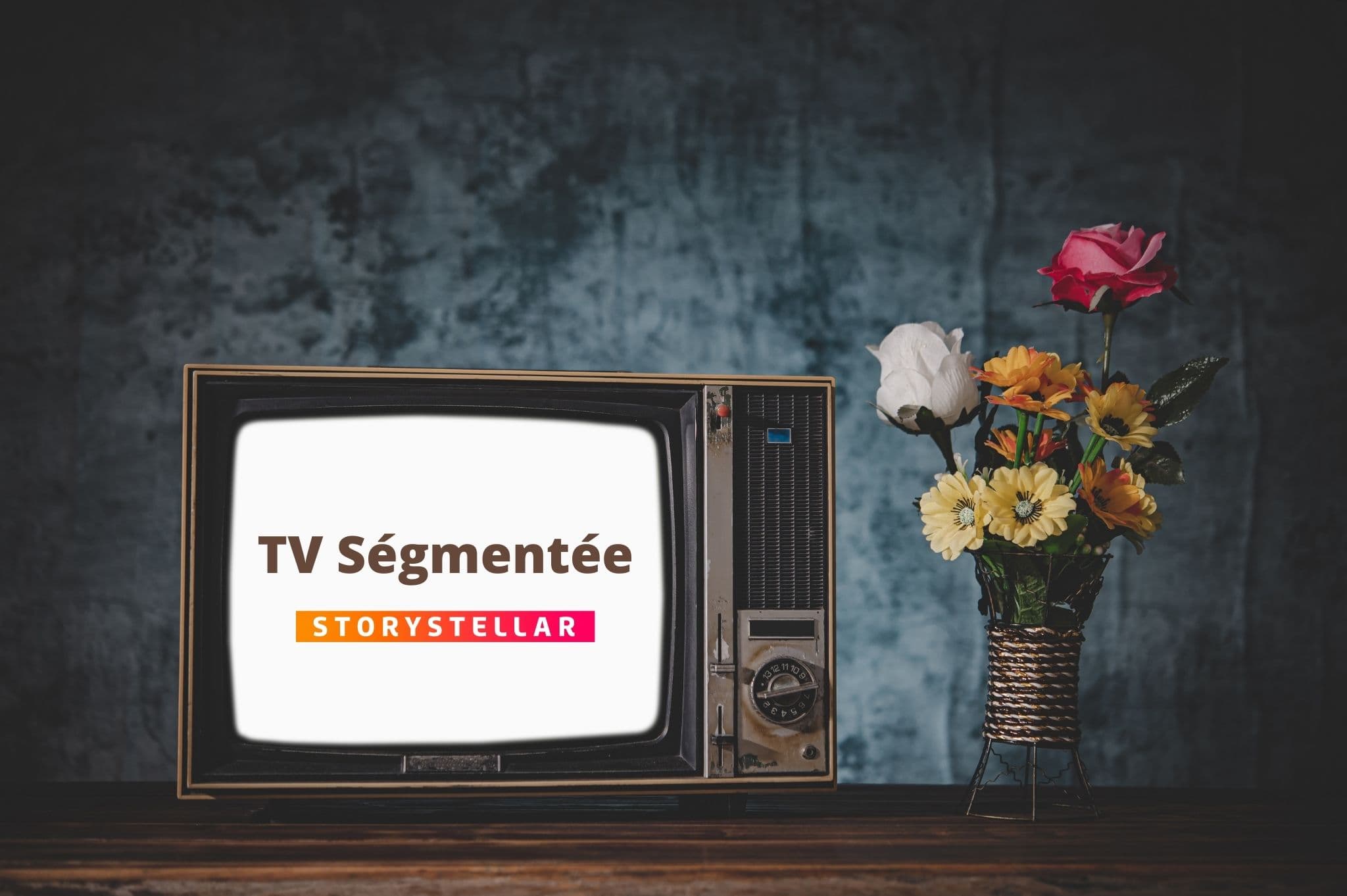 Qu'est ce que la Publicité TV Segmentée ? Le Guide Ultime